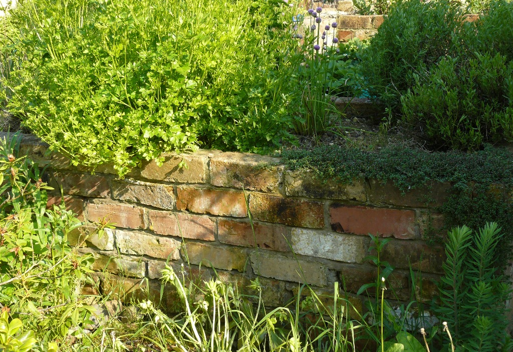 pear tree log: A Privy, An Outhouse, A Necessary Room...