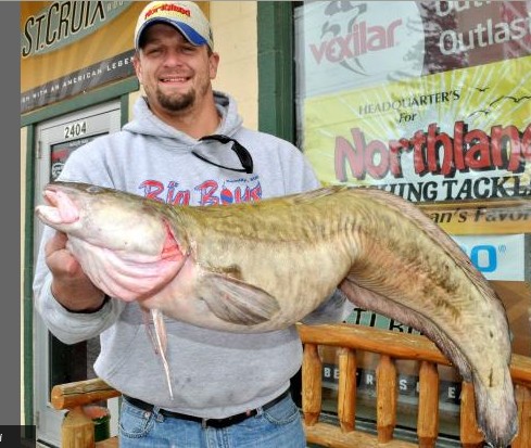 Big Fishes of the World: BURBOT (Lota lota)