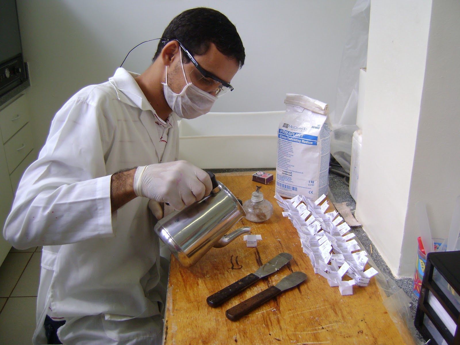 Biologia celular: construindo conhecimentos: Processamento de Material ...