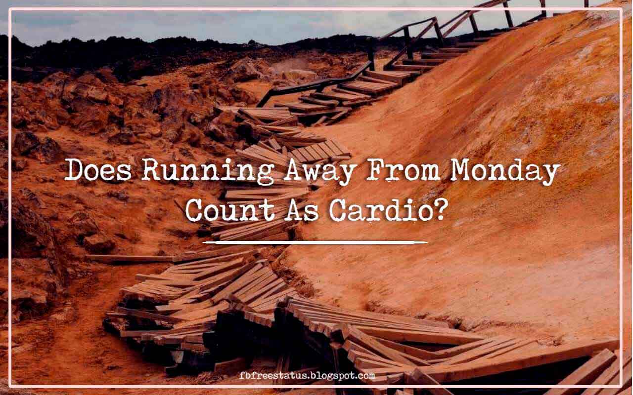 Happy & Funny Monday Quotes to Make You Smile