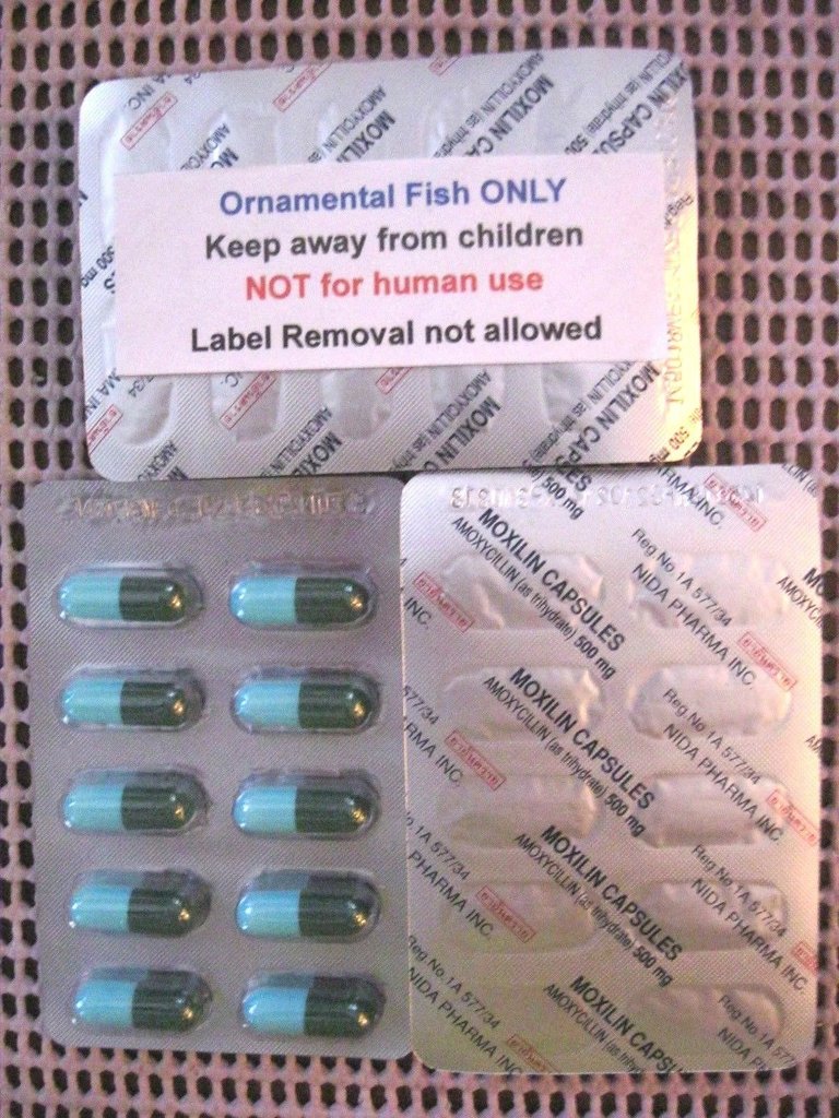 amk 1000 mg - Thai News Collections