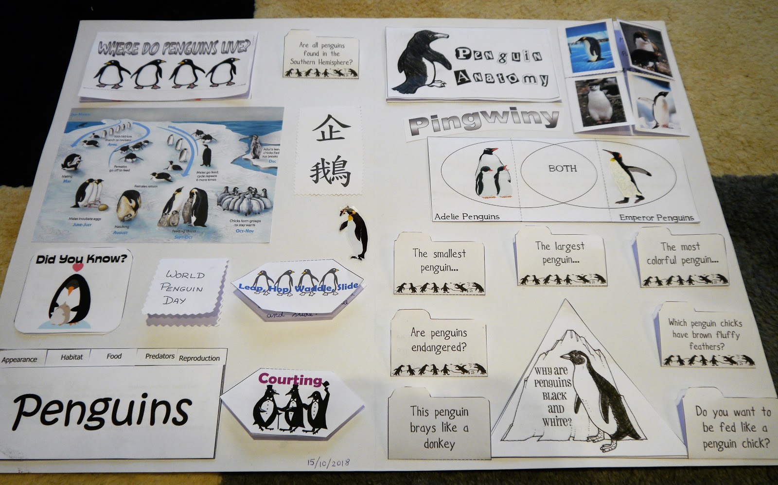 Penguin lapbook - Lapbook o pingwinach