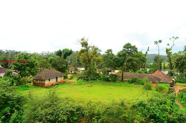 Sharath Hassan A Travelling Photographer: Angadi Nature