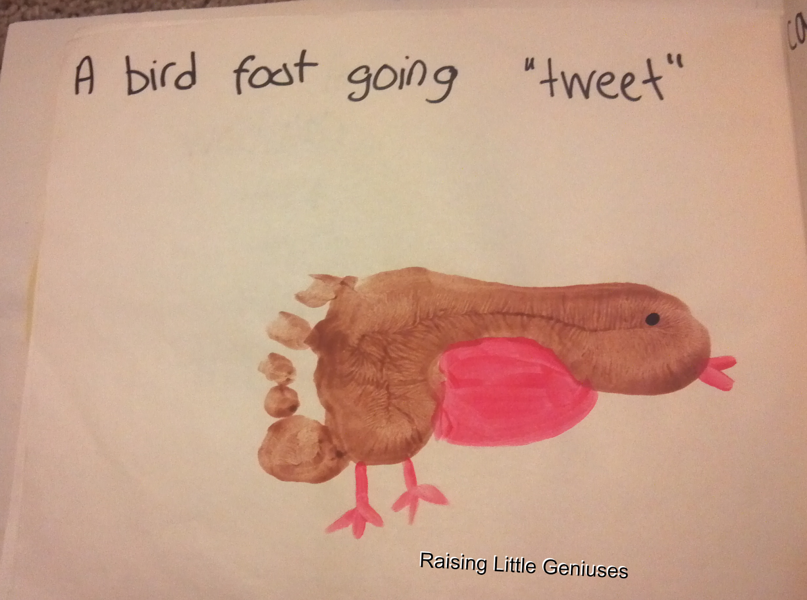 Raising Little Geniuses: Our Family Foot Book 2015