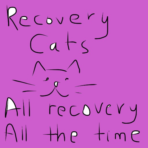 Actively Arielle: A Voice With A Commitment: Arielle's Recovery Cats