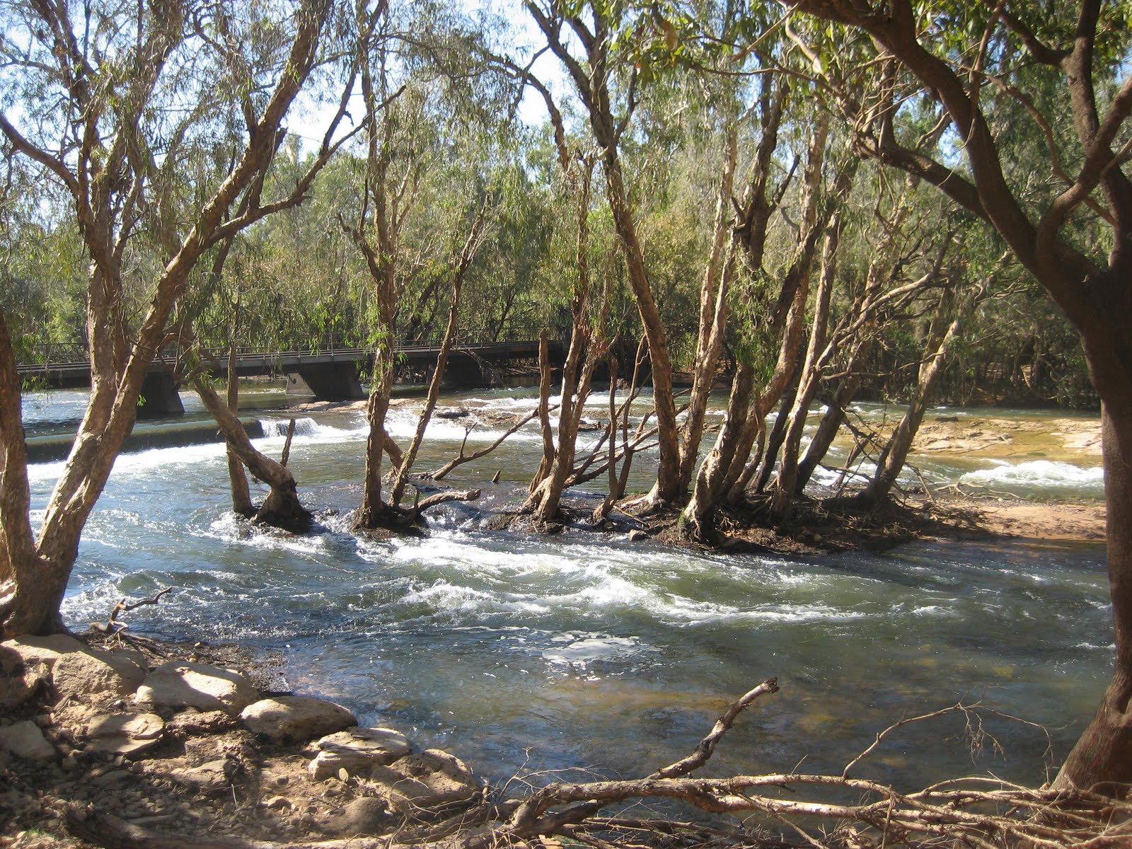 The Wandering 2's: Katherine - NT- Springvale Homestead