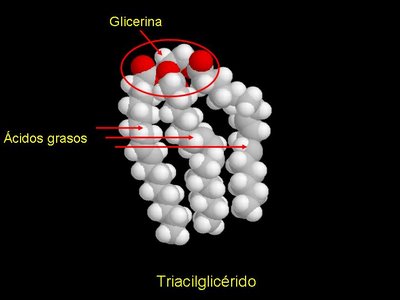 EQUIPO MEDICO NUTRICIONAL: Dra. Ana Adames & Dra. Esther Arrúe ...