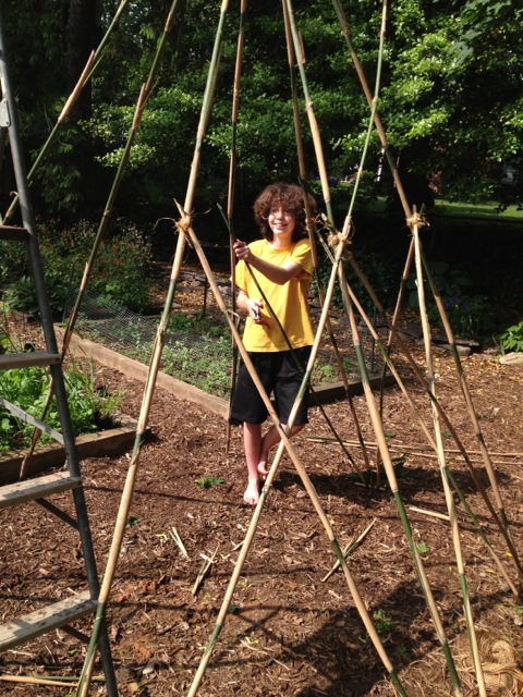 Green STEM Learning: Want to Build a Bamboo Teepee or Gourd Palace in ...