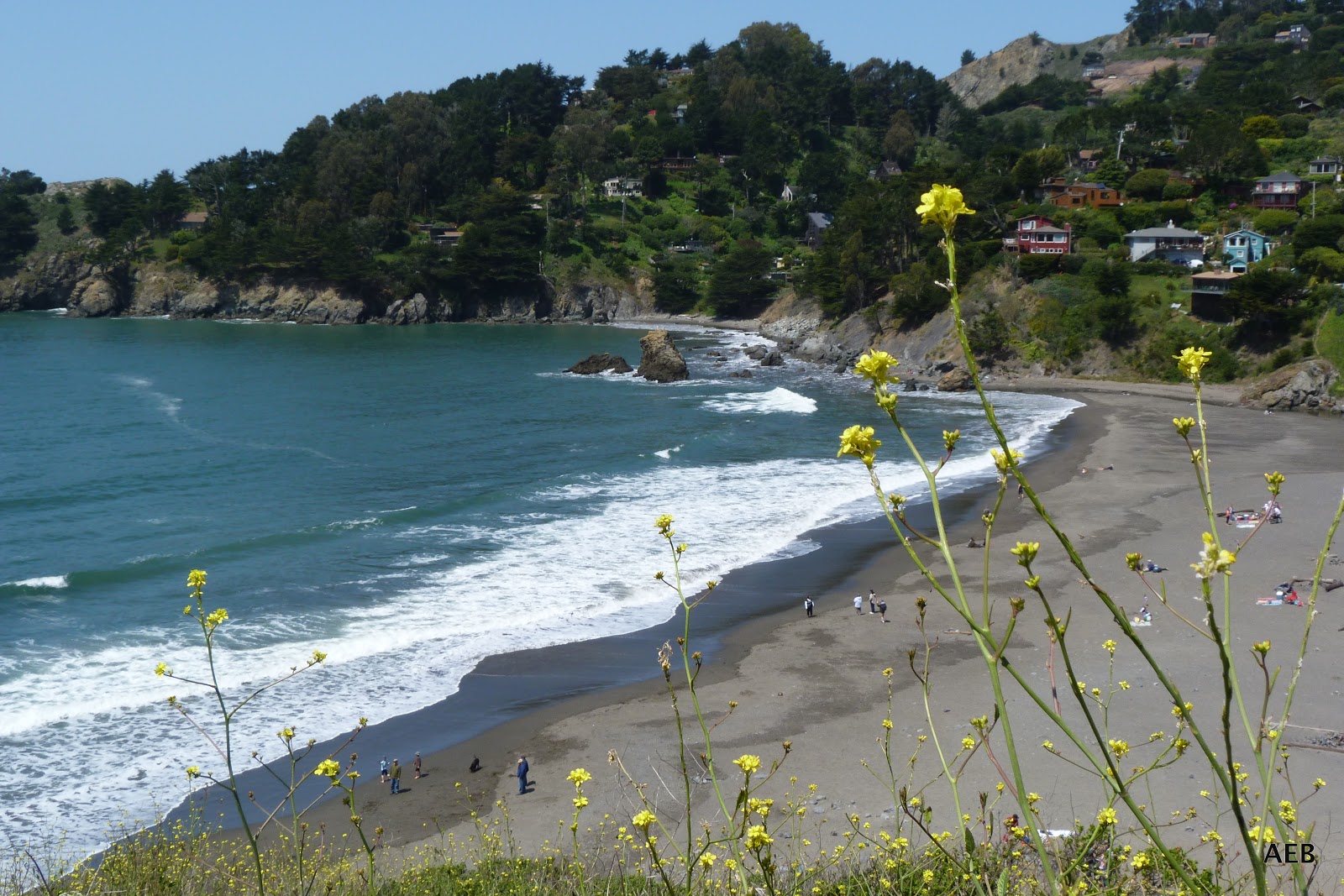 Where ever I go...: Muir Beach- California