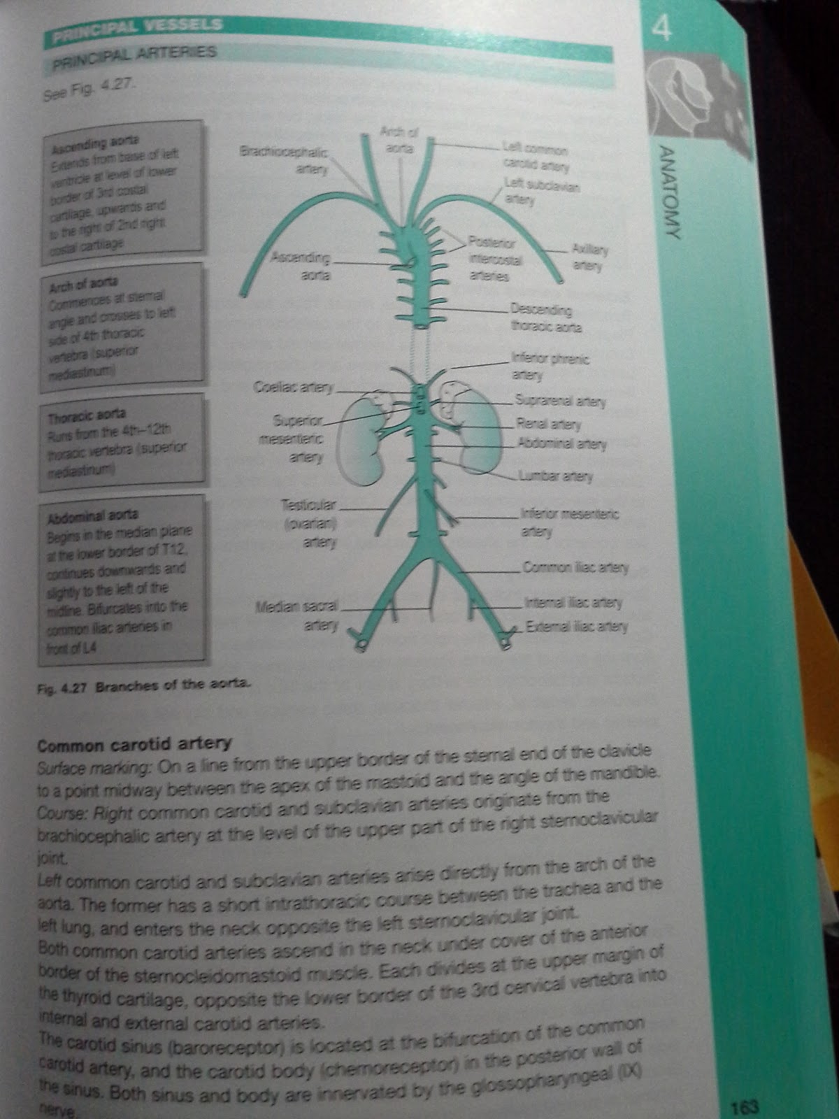 Bukumedik Blogspot (Medical Books Online Shoppe): Basic Medical ...