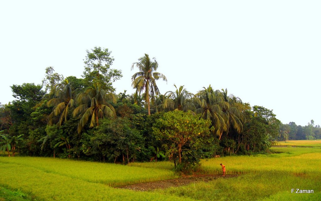 EXPLORE THE WORLD: Brahmanbaria, Bangladesh; Image Gallery