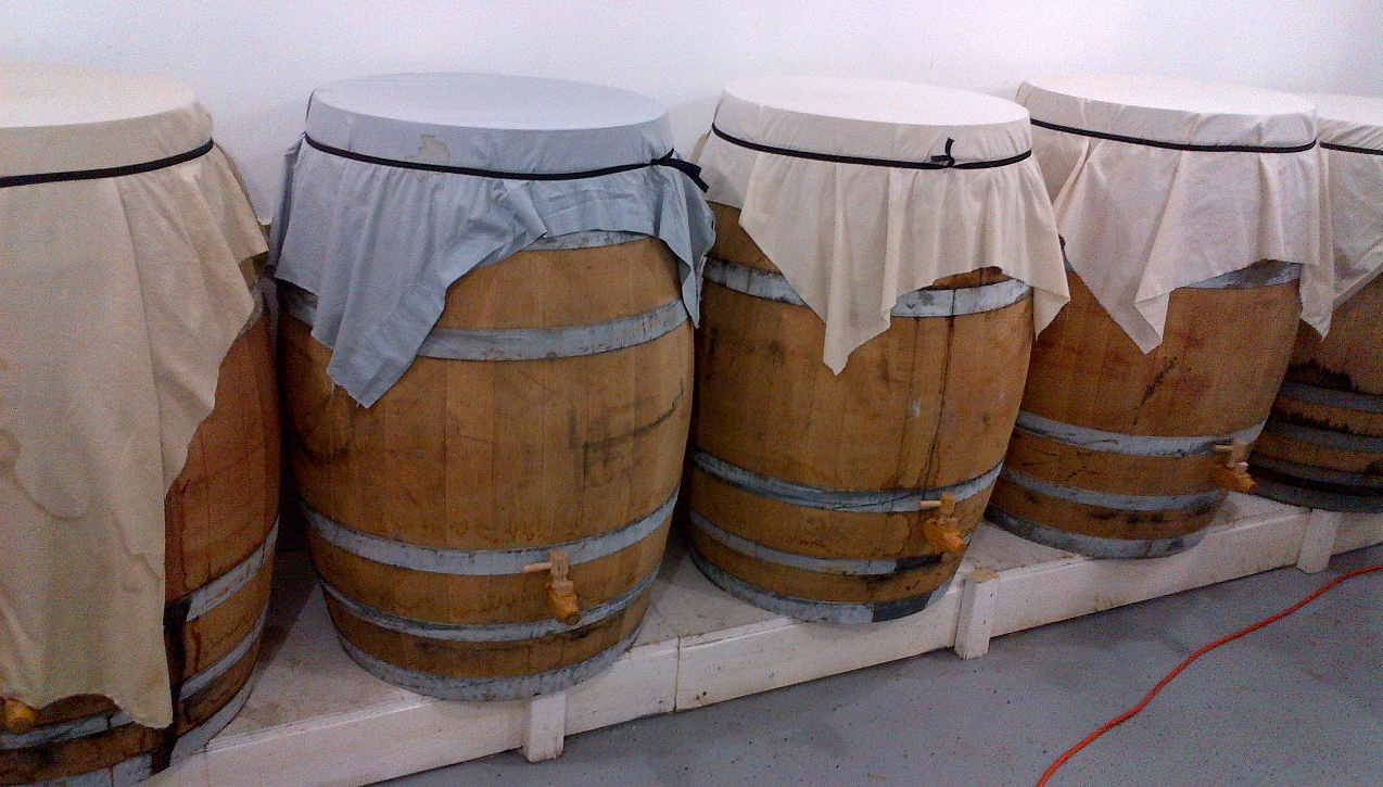 Beer Hear!: Beyond Kombucha Ale