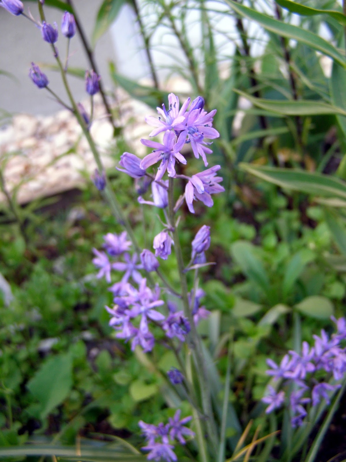FUTULAND: Mai lõpp, veel nädalake paradiisis.