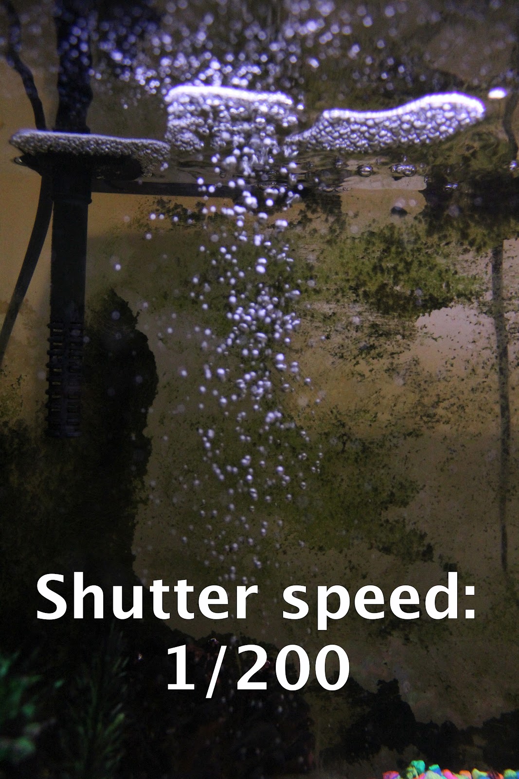 Completely Free Tutorials: Photography Tutorial: Shutter Speed & Motion