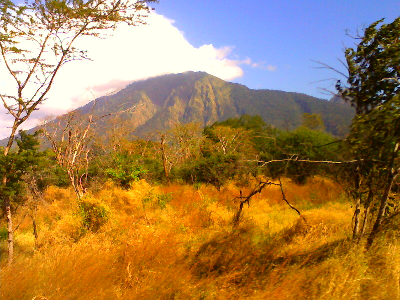 Gunung Baluran, Situbondo | ONE WITH NATURE