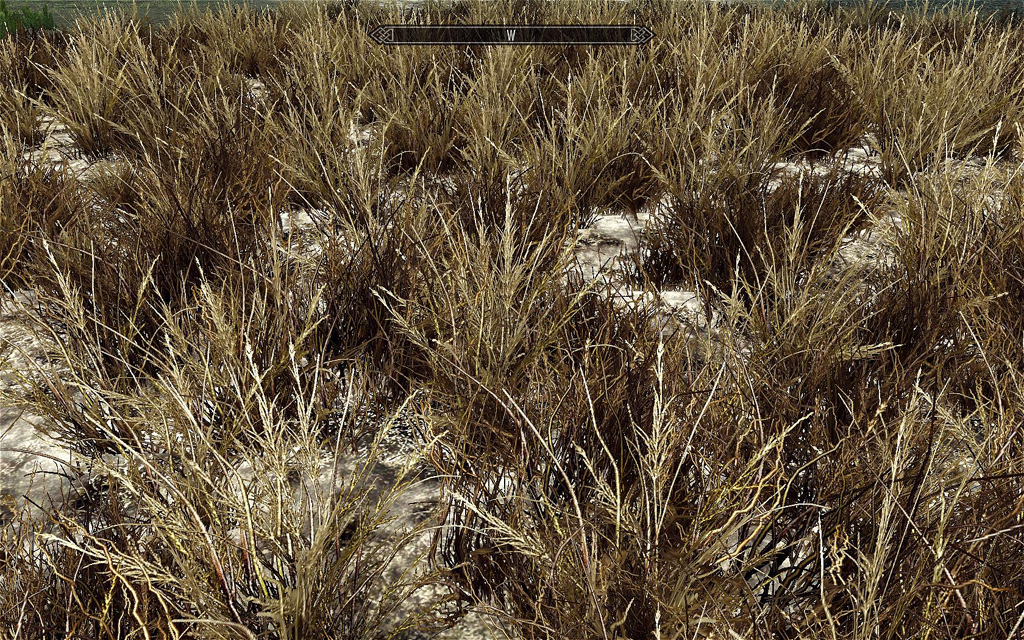 Hoddminir Mod Development: Skyrim - Image Library of Textures with 3D grass