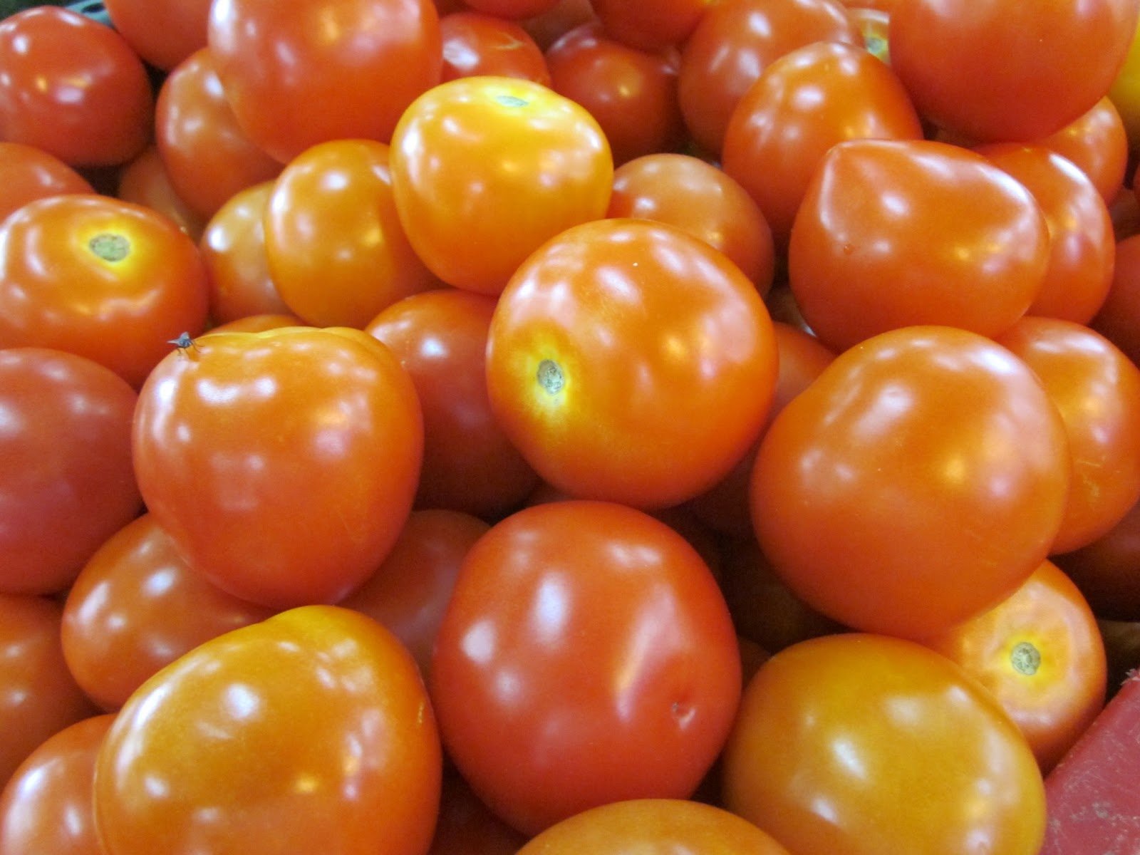 Pretty Simply Normal: Tomatoes: Vegetable or Fruit?