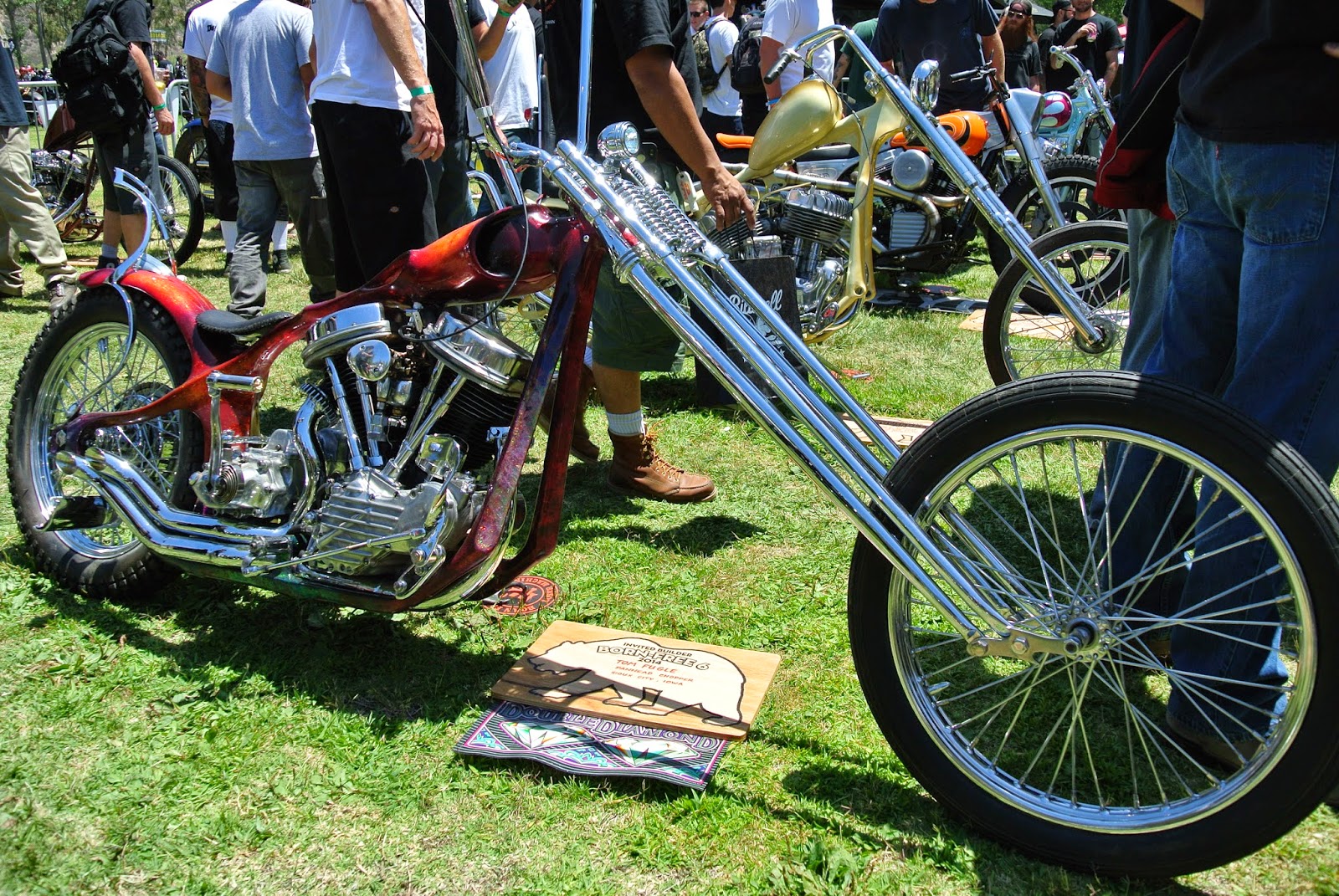 Old-STF Cycle: Born Free Six - Tom, Trent and Wes