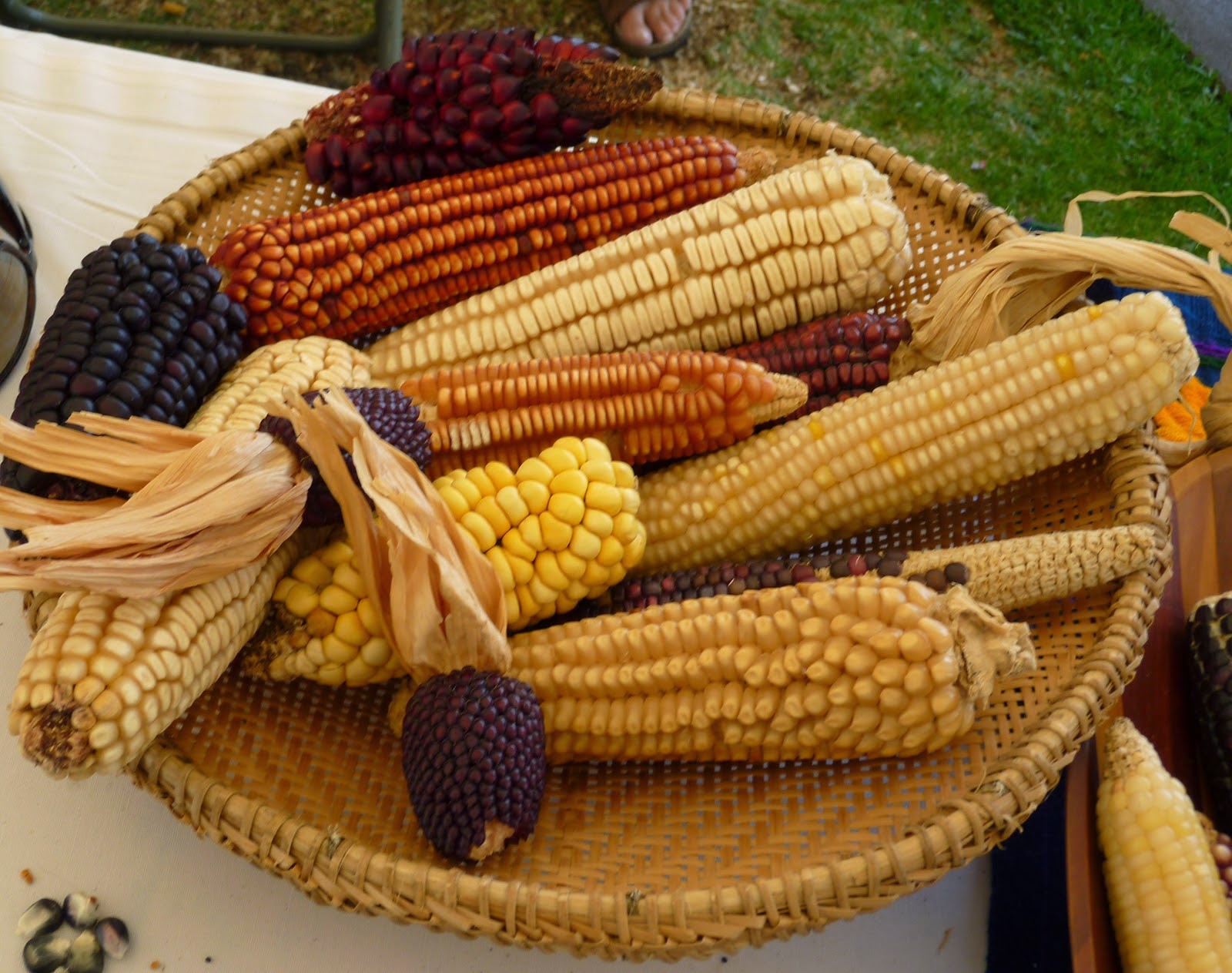 violetas: LEGADO MAYA _ LA LEYENDA DEL MAIZ