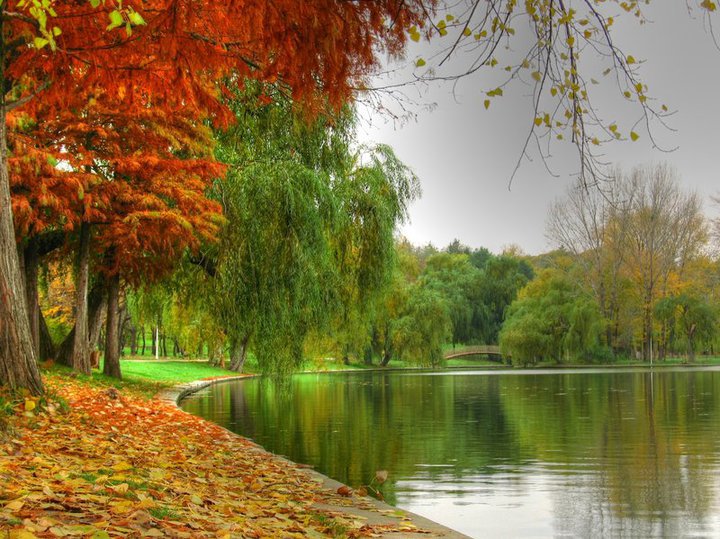 Most Beautiful Photos: Nature