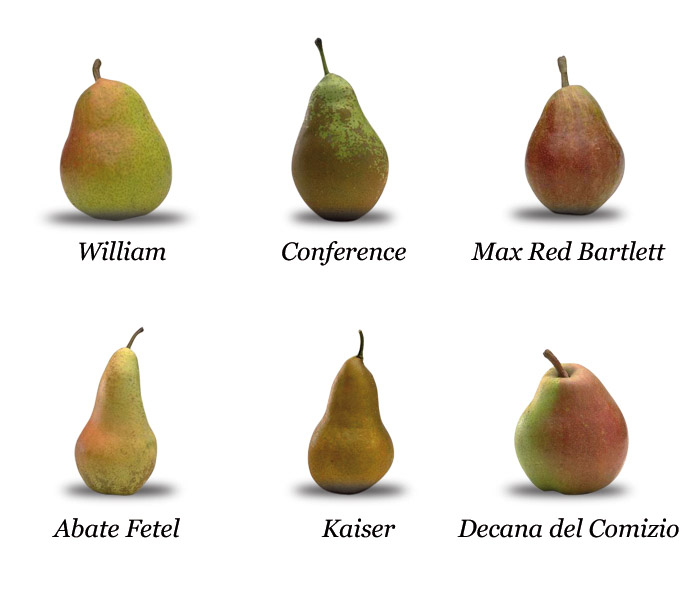 Risotto de Gorgonzola, pera y nueces