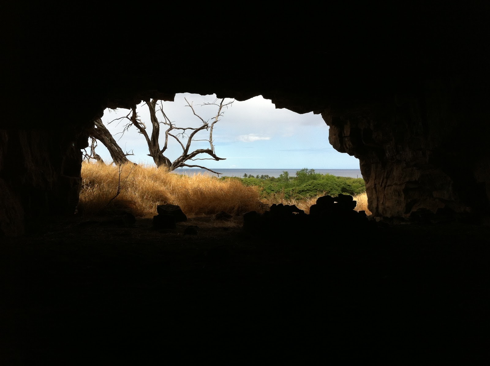 Pohukaina Cave: February 2013