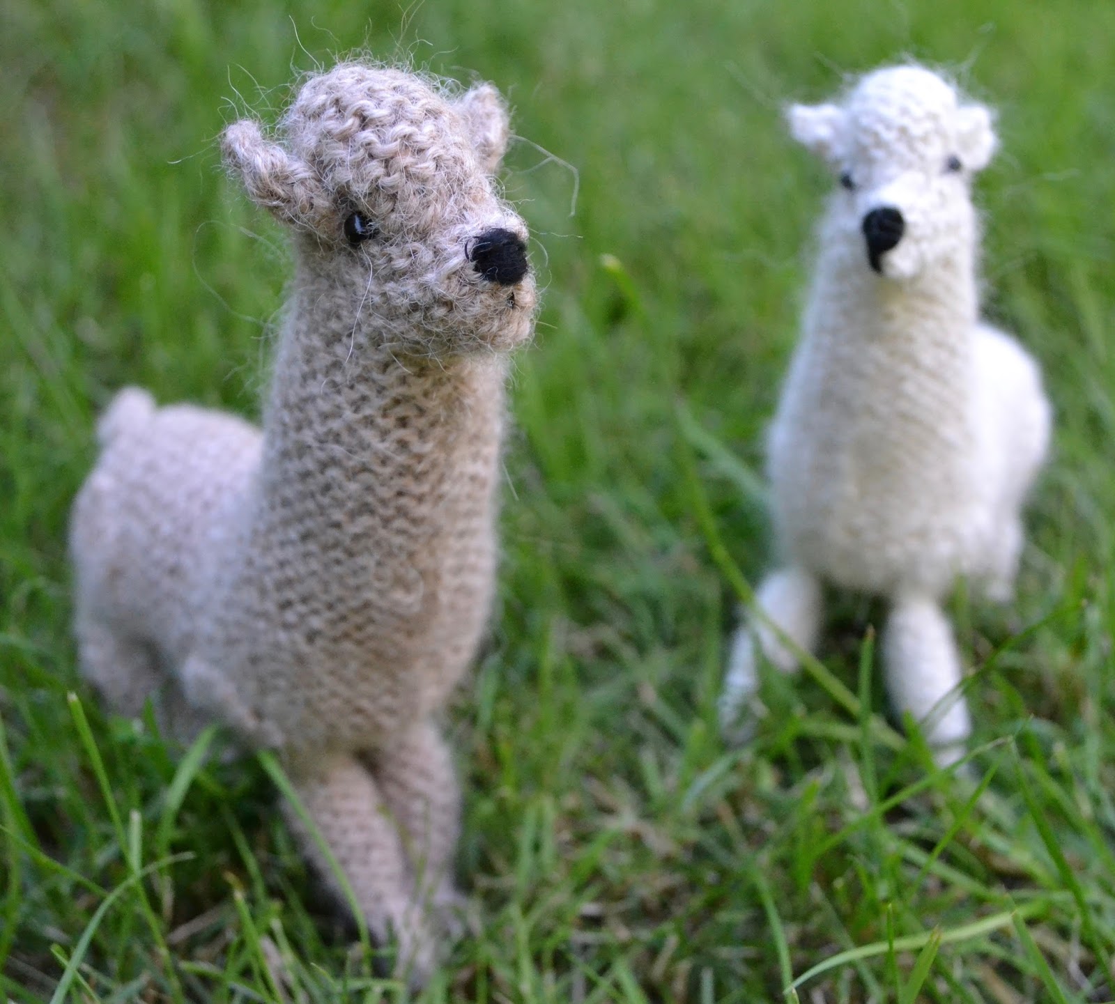 Ginx Craft : Alpaca
