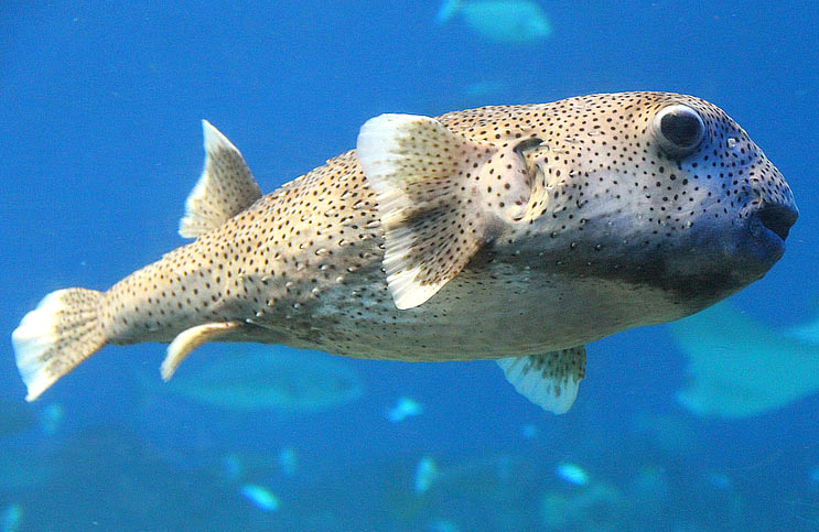 Le Temps de Vivre II: Rudder Cay et Darby Island