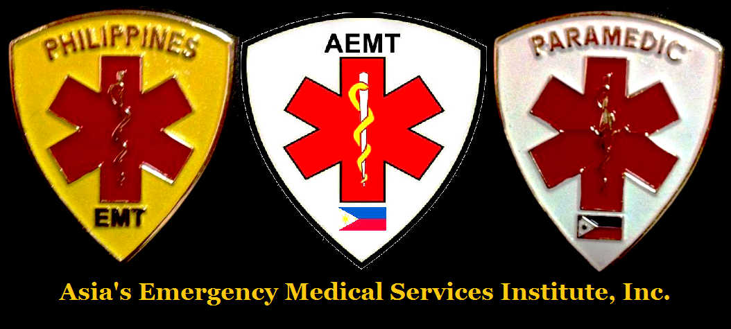 Asia s Emergency Medical Services Institute Inc AEMS AEMS Levels Of asia-s-emergency-medical-services-institute-inc-aems-aems-levels-of