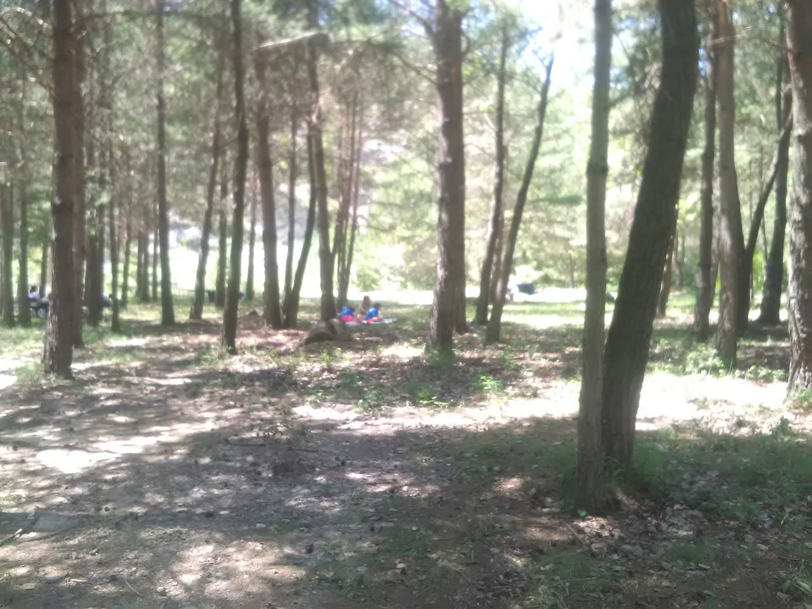 A remojo por Aragón: Las Impresionantes Pozas de Belsué.Rio Flumen