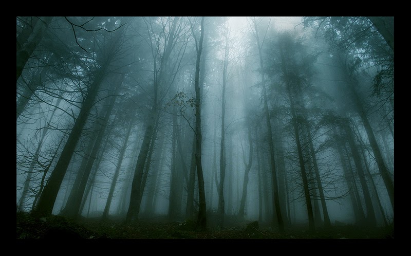 Of Thoughts and Words: Picture Prompt: Still Standing