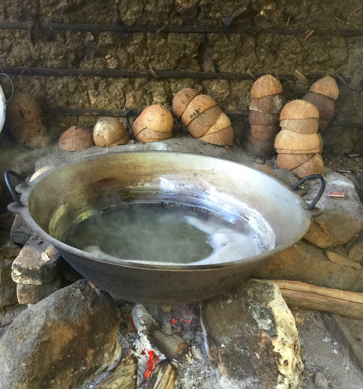 Learning to Live Peace: Tapping Kithul Palm