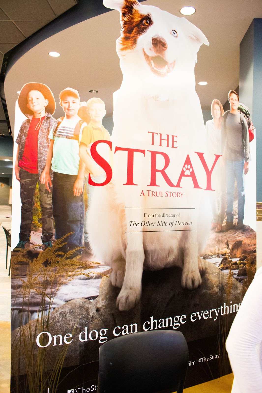 The Stray Movie Premier & Review