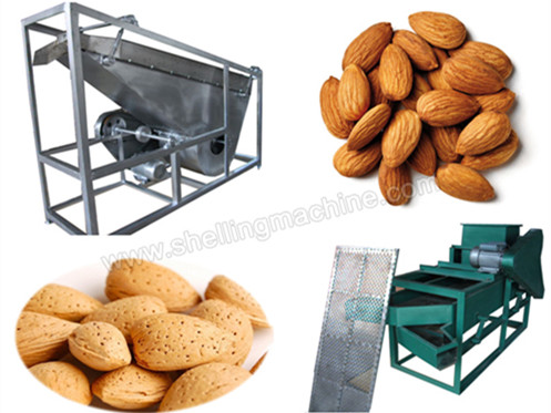Amisy Nuts & Seeds Shelling Machines: Almond Cracking & Shelling Machine