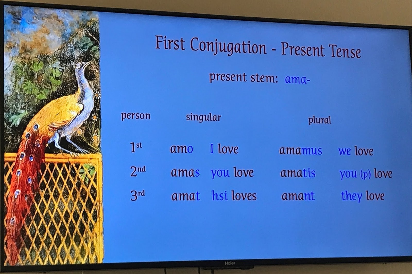 Cummins Life: Memoria Press First Form Latin Review