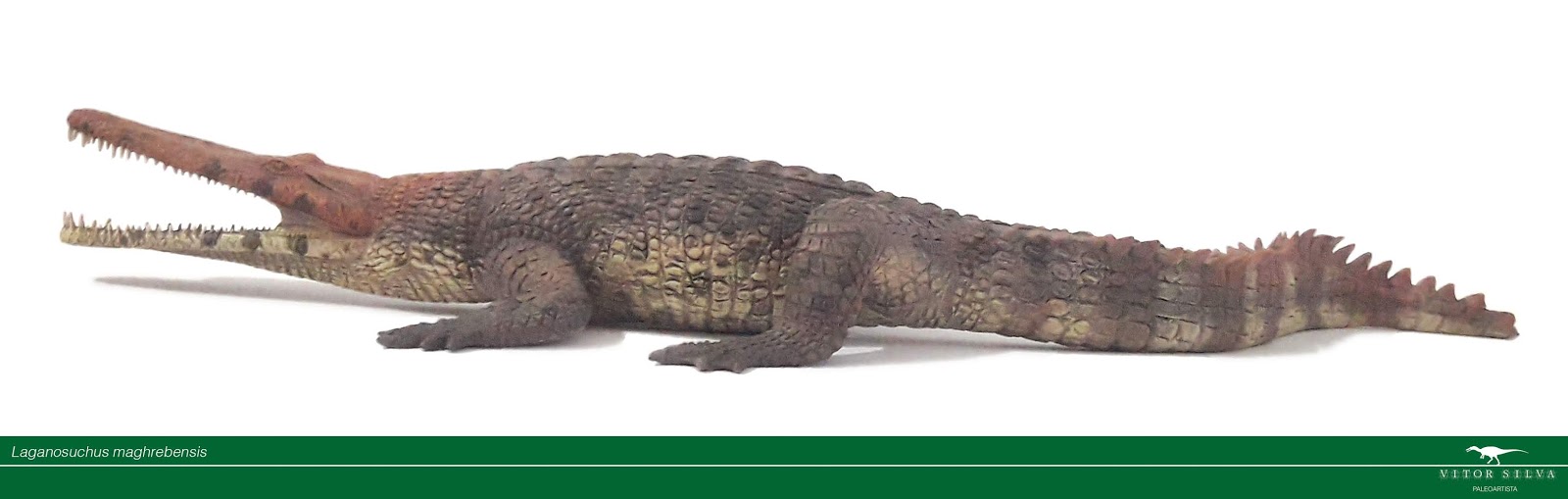 Vitor Silva - Paleoartista: Laganosuchus