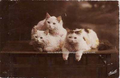 VIEWS FROM THE PAMPANG: *305. CATSTUFF: The 'Pusa' in our Pop Culture