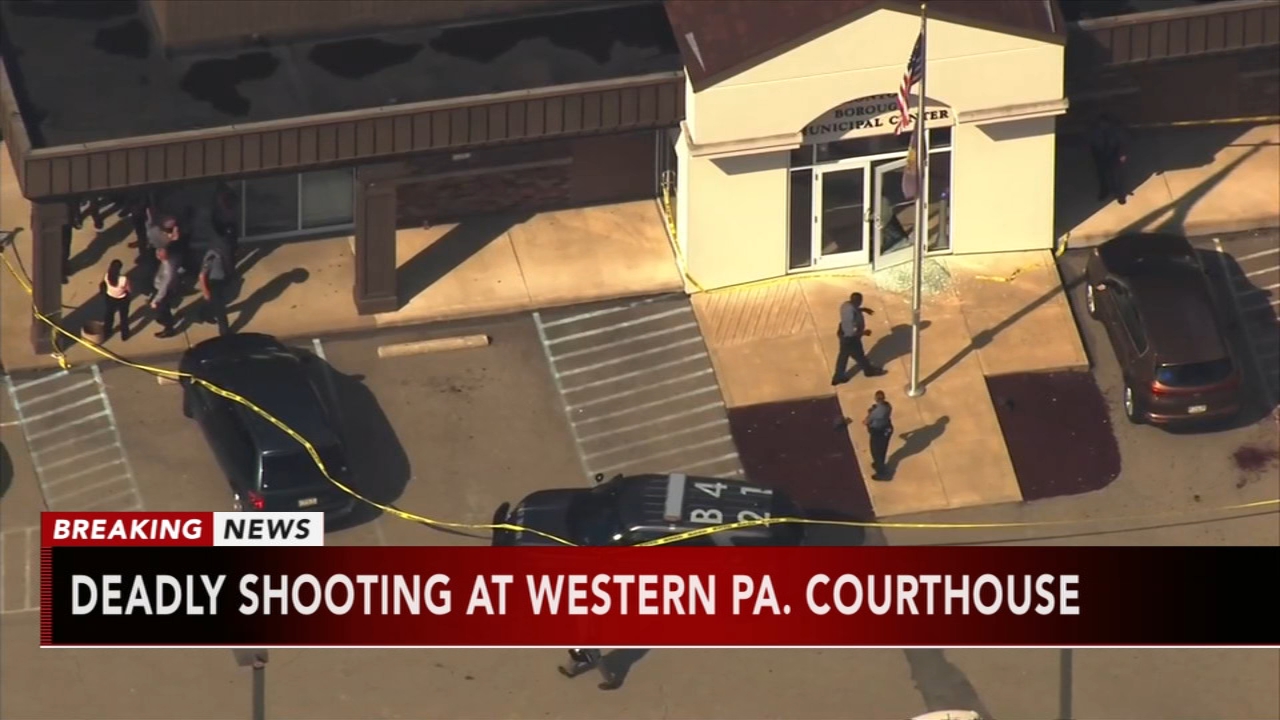 Twilight Language: A New Paradigm: Awash in Shootings