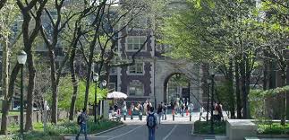 Wilhelm Reich Today http://orgonomist.blogspot.com