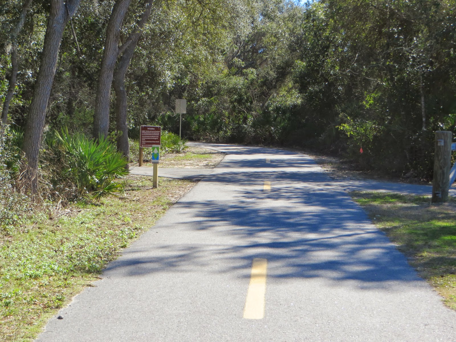 Nature Is Real: Big Talbot Island State Park