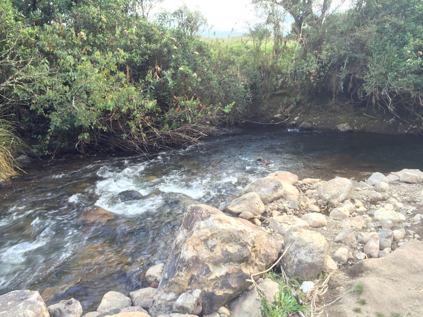 Fish B4U Fly: Fly Fishing in Ecuador - 2/2016 - Trout on the Equator?