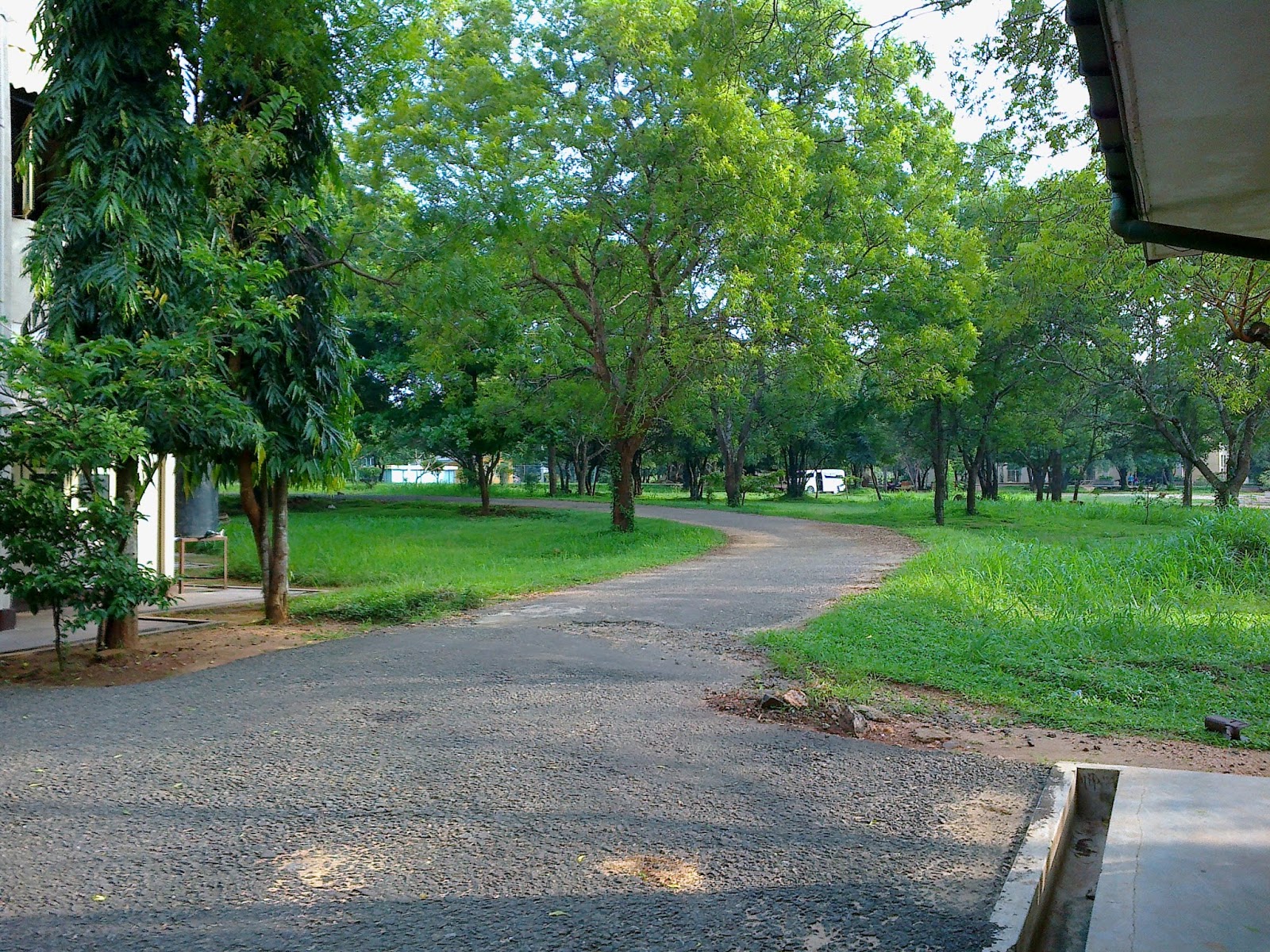 Beautiful Captures: Beauty of Rajarata University of Sri Lanka