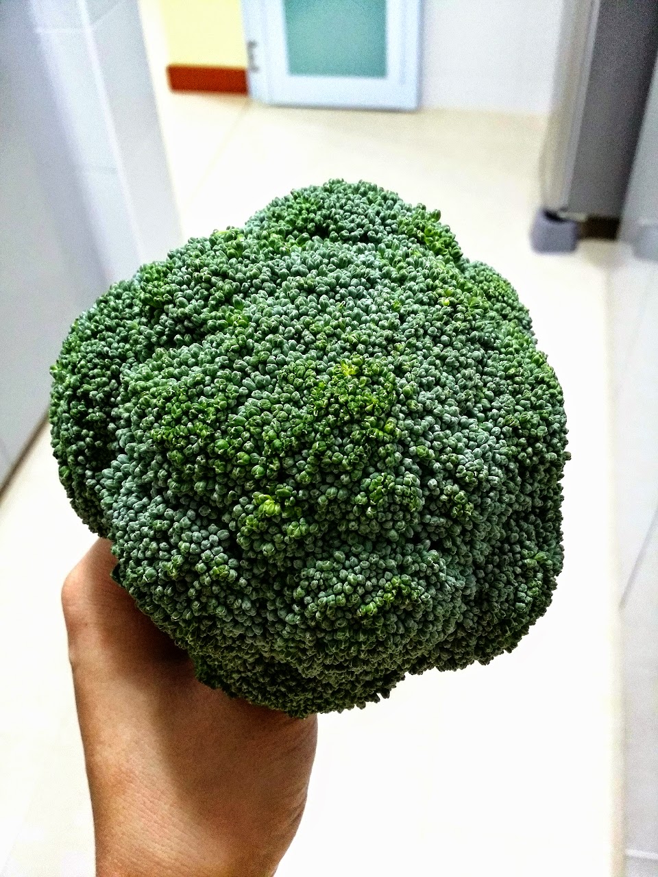 Culinary | Love Broccoli