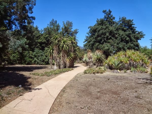 One Enchanted: Los Angeles - Day 7 - Pasadena - The arboretum