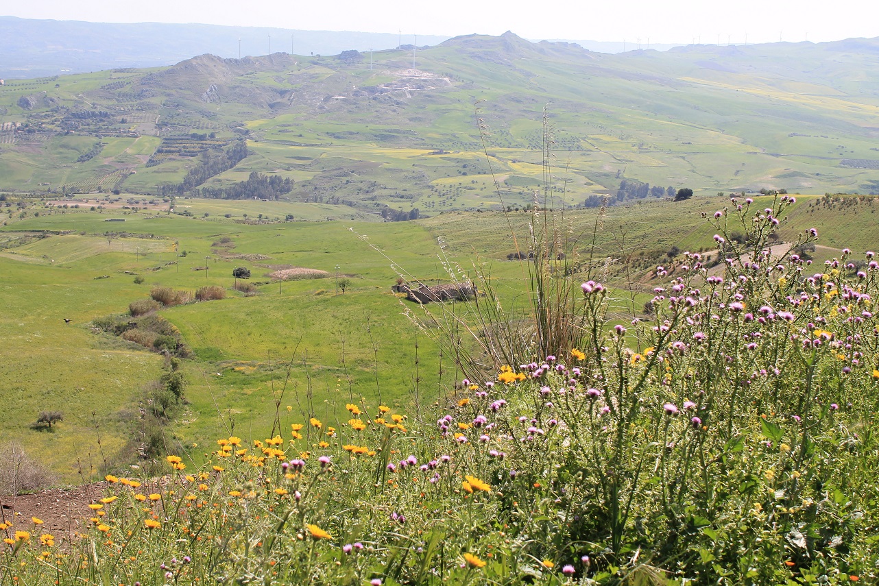 Ramacca (CT) Archives - Living in Sicily