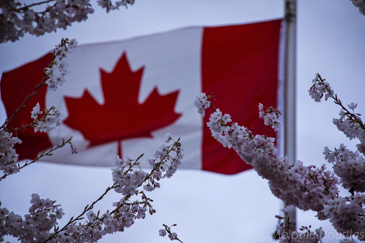 Melodie Douglas Art Blog: 60/365 Captured Moments - O Canada, A Little ...