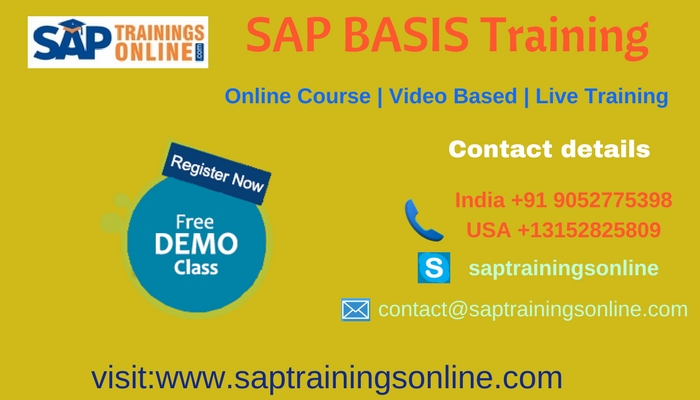 SAP BASIS Online Training: SAP BASIS Online Training | SAP ERP Introduction