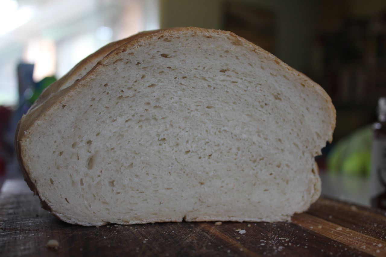 Green Gourmet Giraffe: Sourdough Basics 103: Baking a loaf of bread