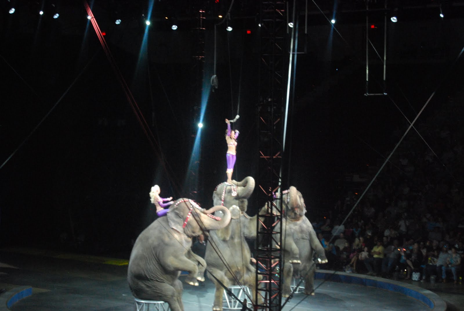 The Ramirez Farm: Ringling Brothers Circus