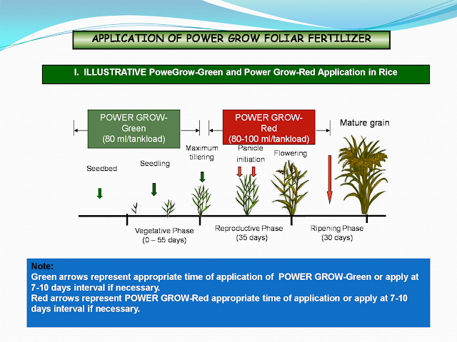 POWER GROW FOLIAR FERTILIZER: Illustrative application of power grow ...